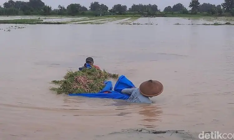 Wagub Jateng Usulkan Modifikasi Cuaca Antisipasi Banjir dan Longsor