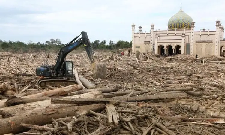 Puluhan Ribu Hektar Lahan di Aceh Rusak Akibat Banjir, WALHI Sorot Tata ...